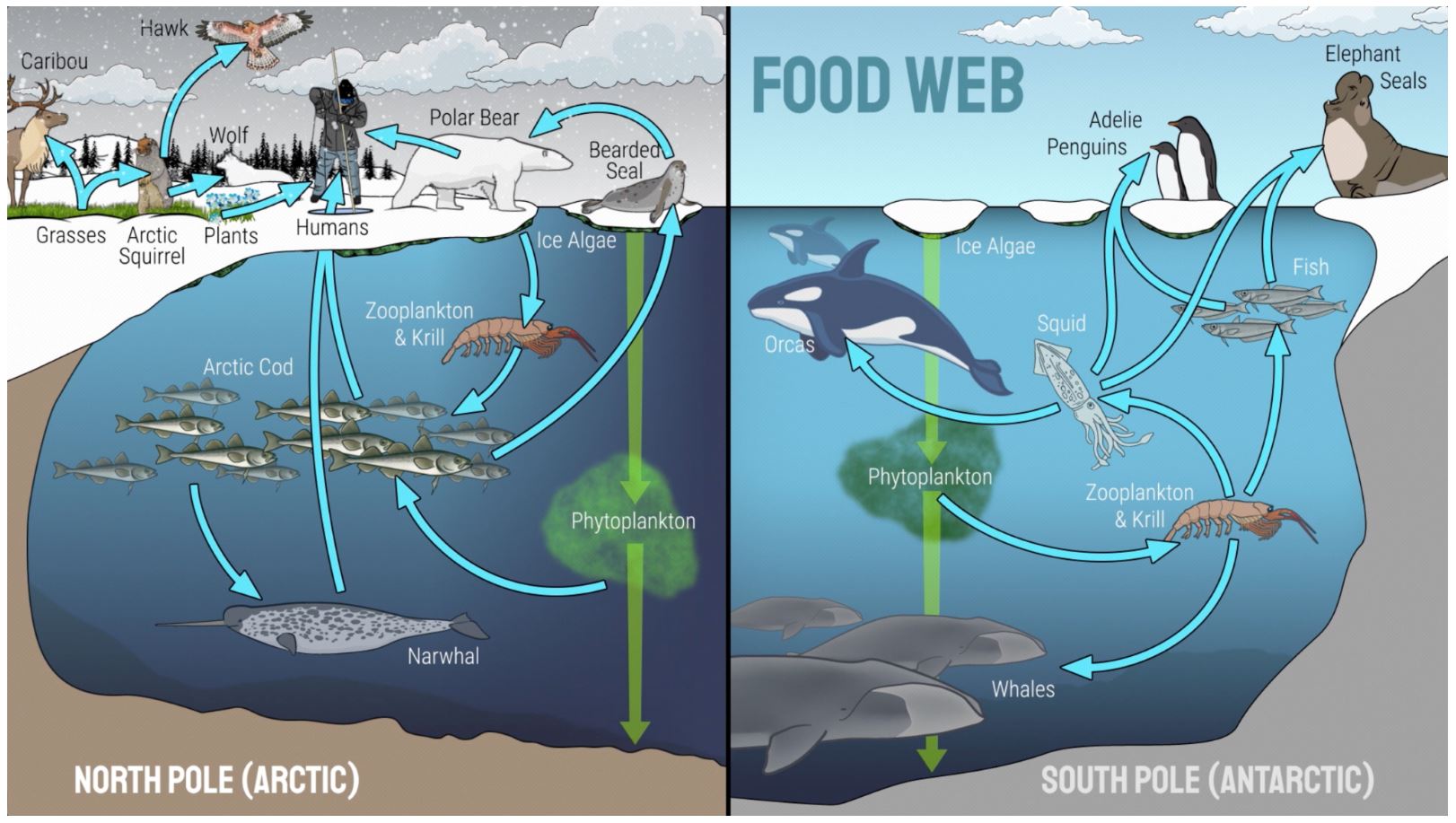 Research (Overview) – Kim Lab